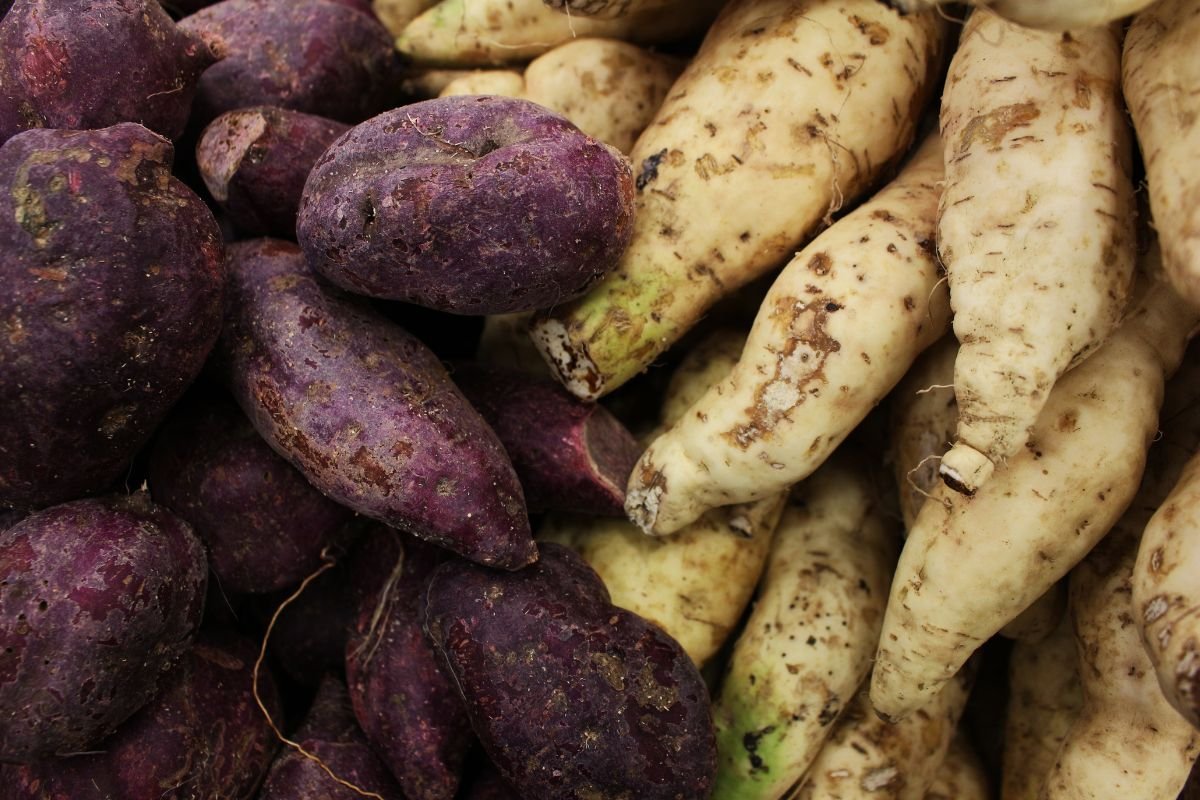 Batatas - saldžioji bulvė: gerai nepažinta vertinga daržovė