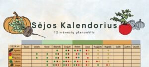 🌼Sėjos Kalendorius 2024 🌱 🍅 🌶️ | Lentelė | Darbai pamėnesiui