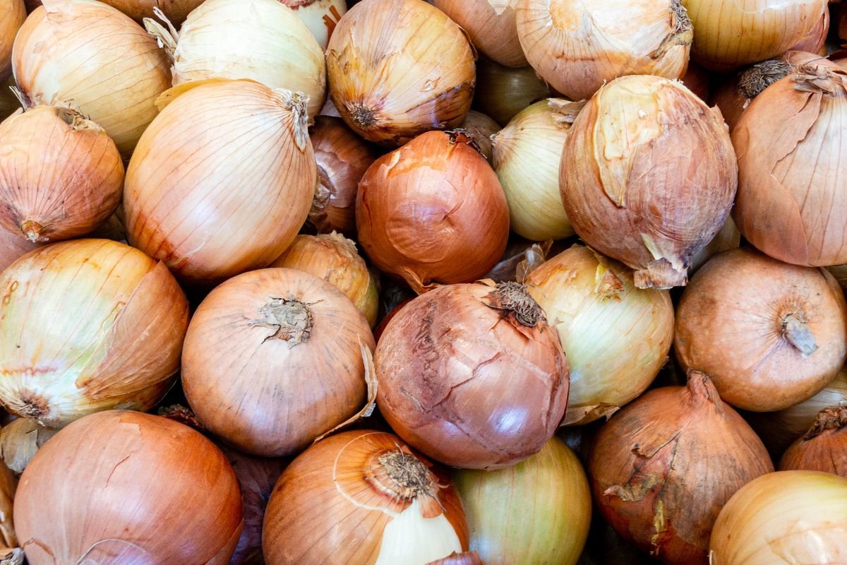 Žieminiai svogūnai – vertingesni už vasarinius? Sužinokite, kodėl juos ...