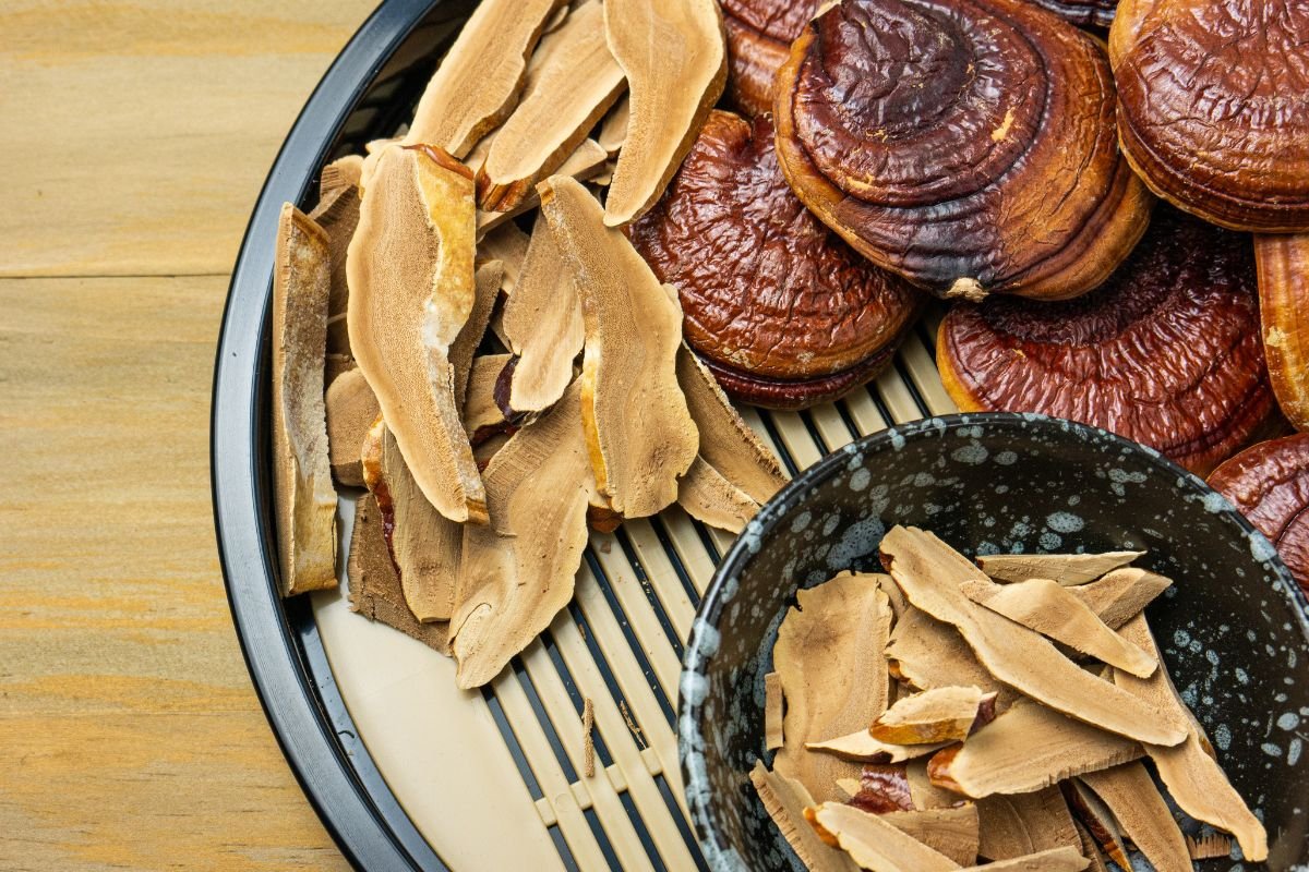 Reishi grybai: ką jie gydo? Kantrūs jų užsiaugins ir namie