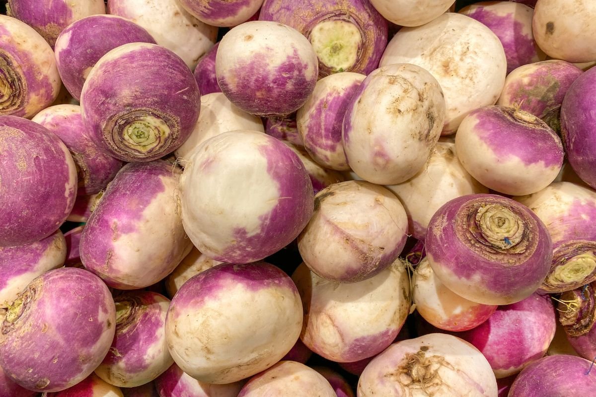 Ropė – nepelnytai pamiršta daržovė. Kada sėti ir kaip augint