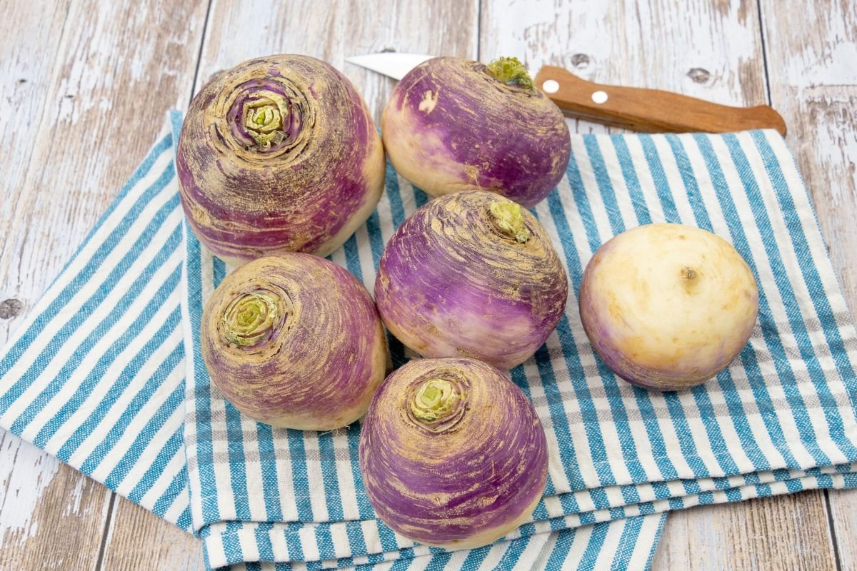 Ropė – nepelnytai pamiršta daržovė. Kada sėti ir kaip augint