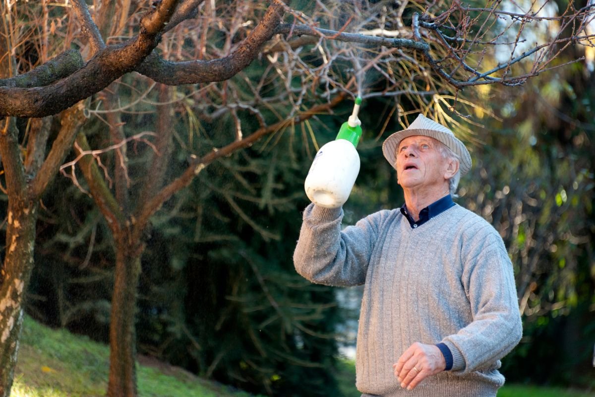 Vario sulfatas: kaip ir kada juo purkšti vaismedžius?