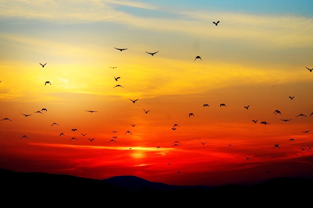 Kada teka saulė kiekvieną 2024 metų dieną?