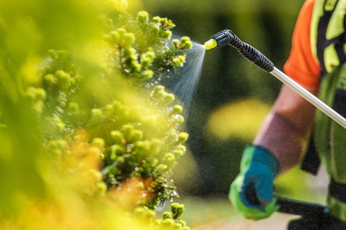 Monokalio fosfatas: kodėl augalams būtinas kalis ir fosforas