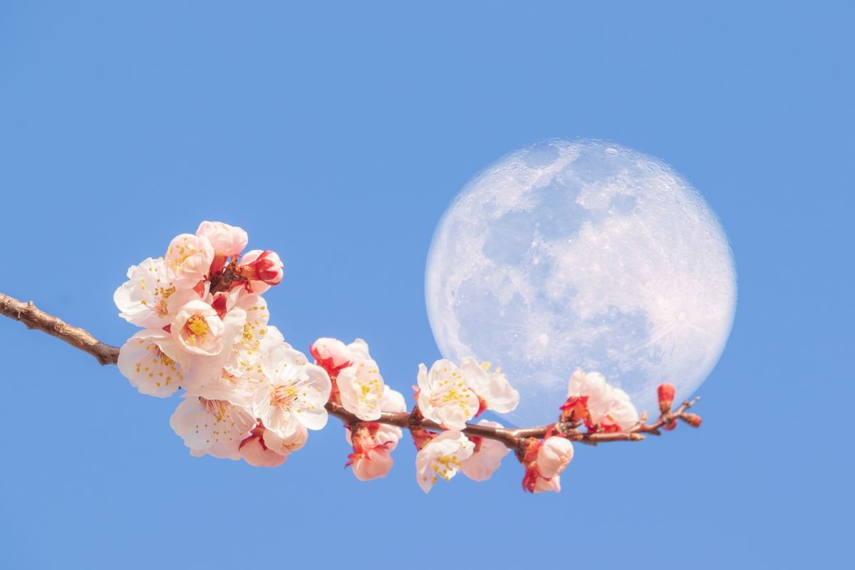 Mėnulio fazės ir magnetinės audros: sodinimo optimizavimas