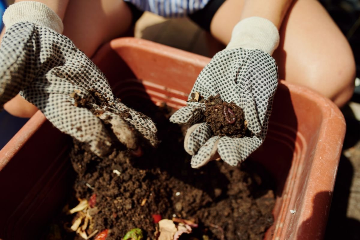 Natūralios trąšos daržui, kurios nieko nekainuoja