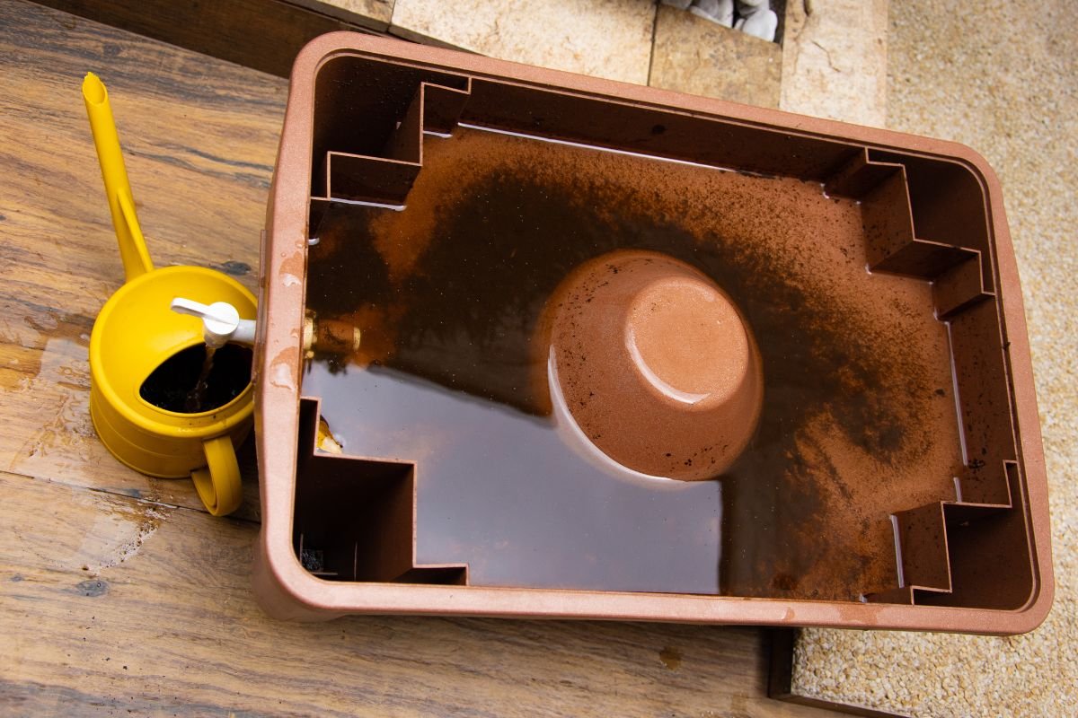 Komposto arbata: dvejopo poveikio naminis skystis augalams