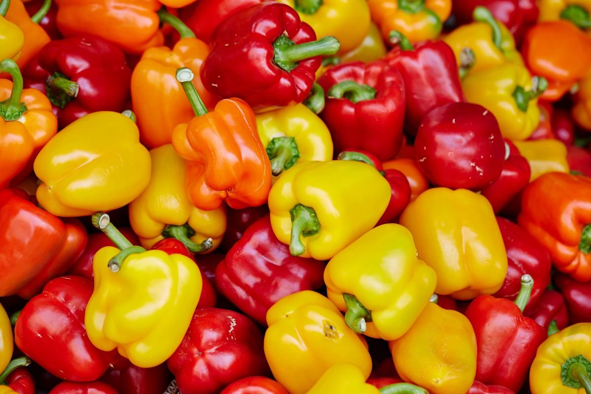 Paprikos žiemai: trys puikūs receptai bei ruošimo gudrybės