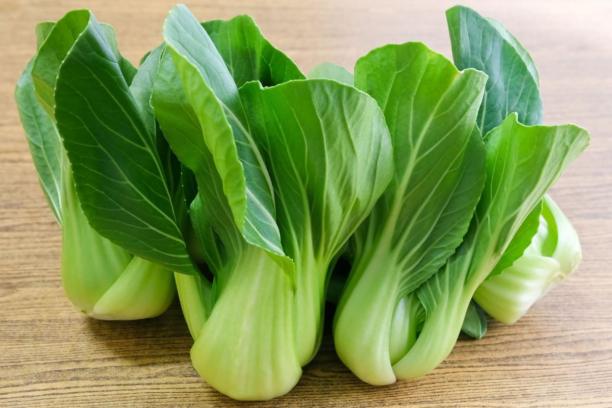 Kininis bastutis arba pak choi gali būti auginamas Lietuvoje