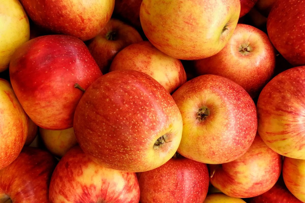 Saldiniai obuoliai: veislės ir jų auginimo ypatybės